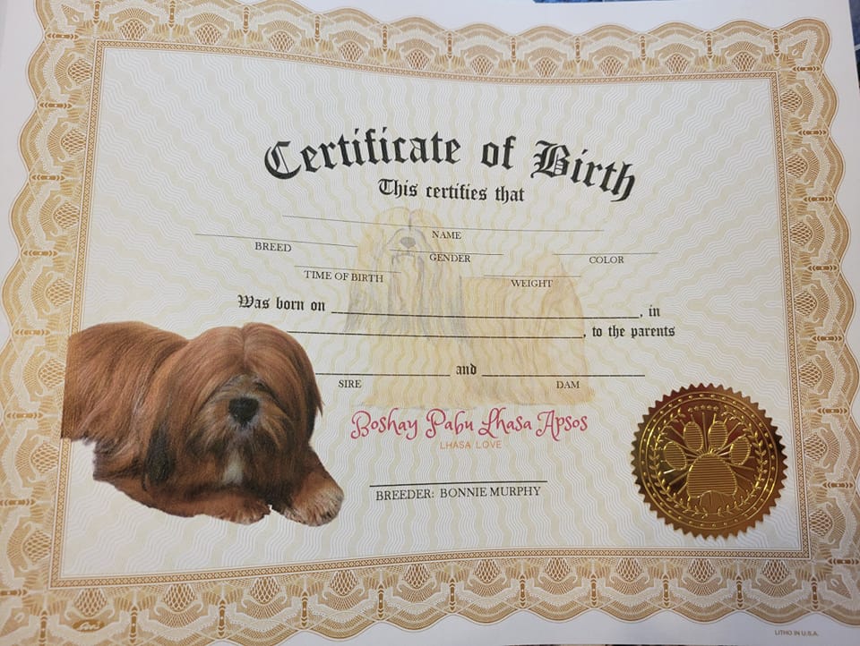 Custom Birth Certificates (Breeders Only) – Champion Show Leads